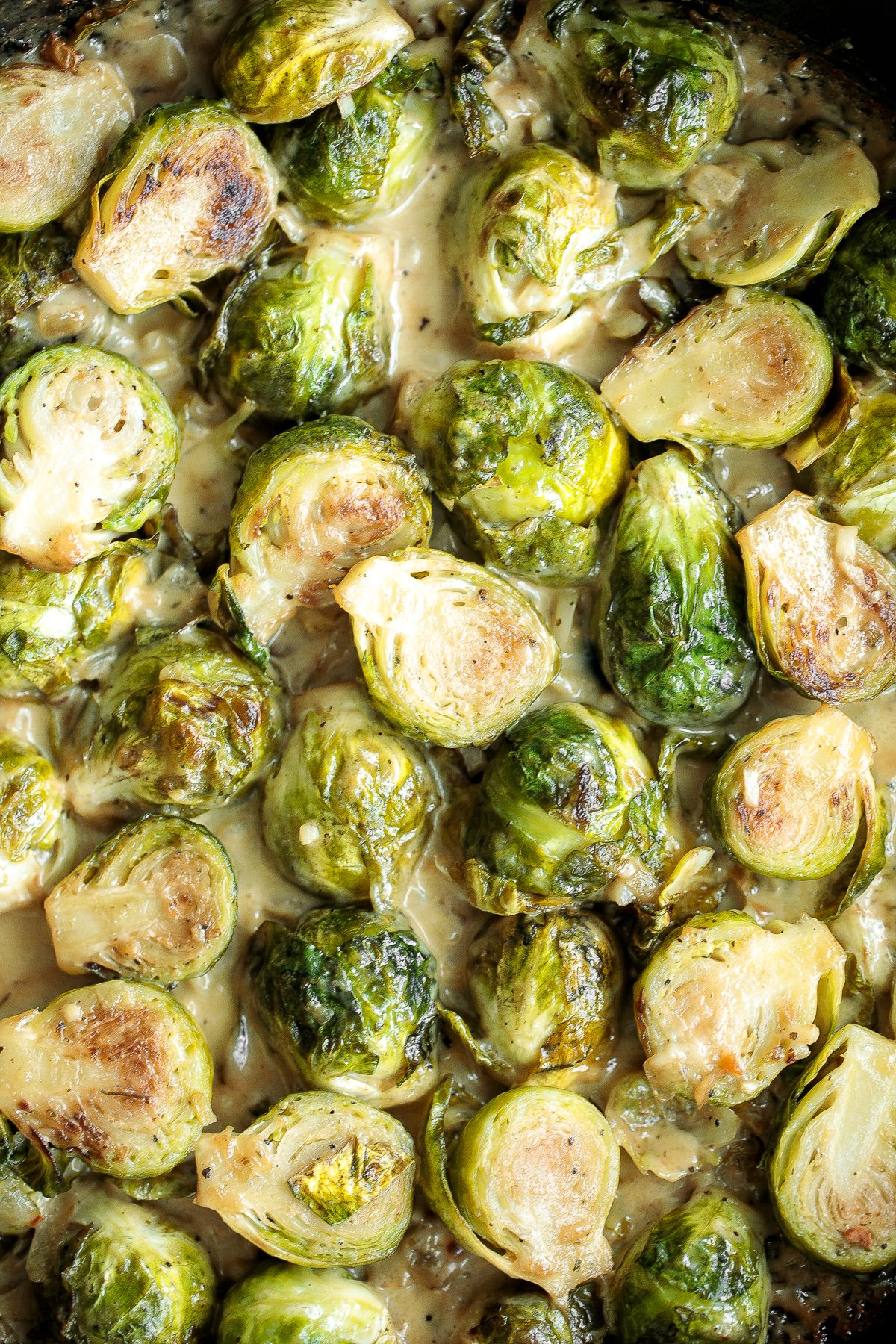Creamy Brussels Sprouts Bake - Ahead of Thyme