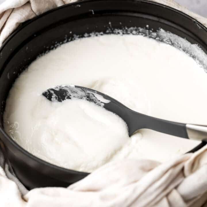 Homemade Yogurt - Ahead of Thyme