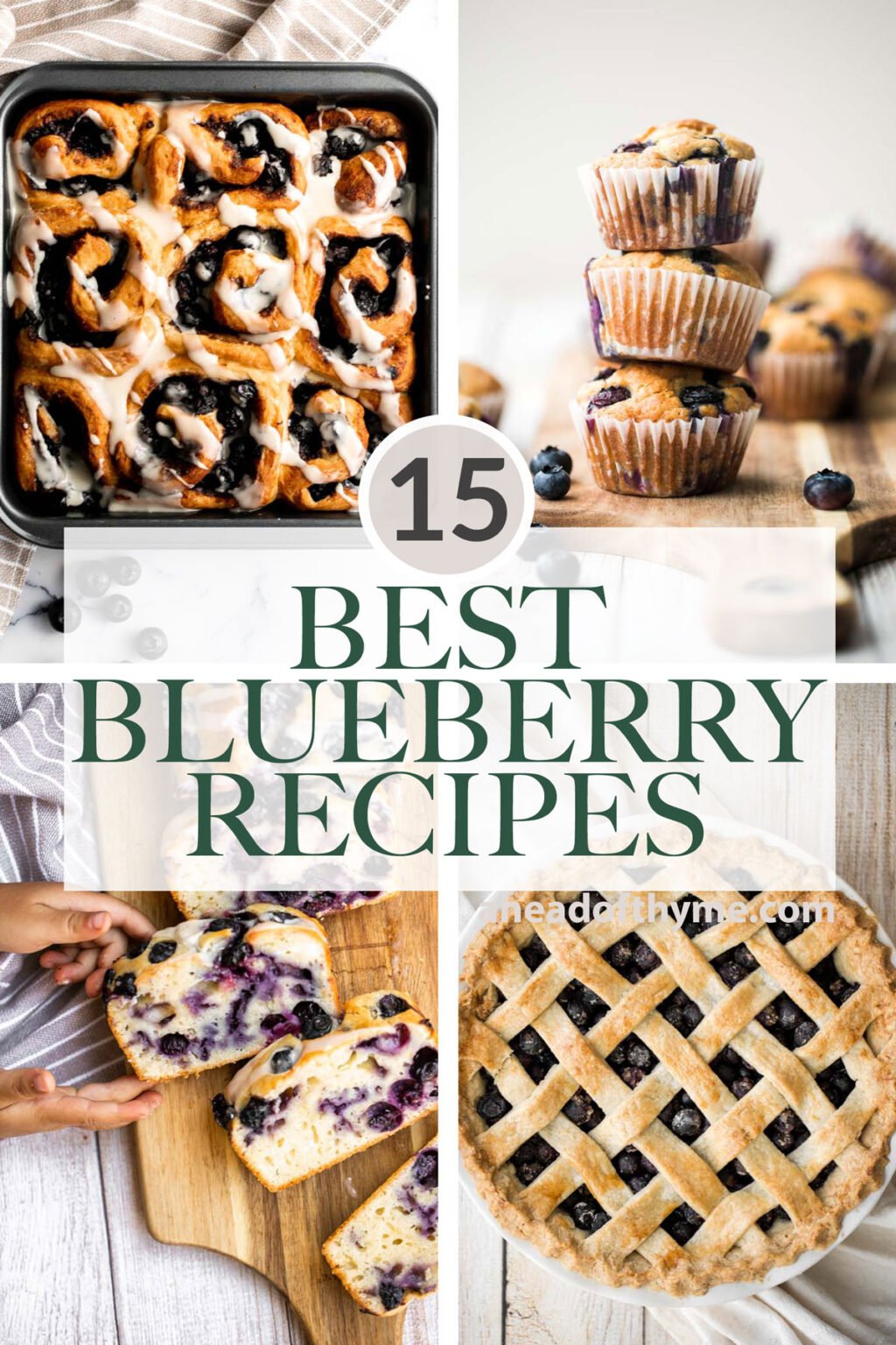 15 Best Blueberry Recipes - Ahead of Thyme
