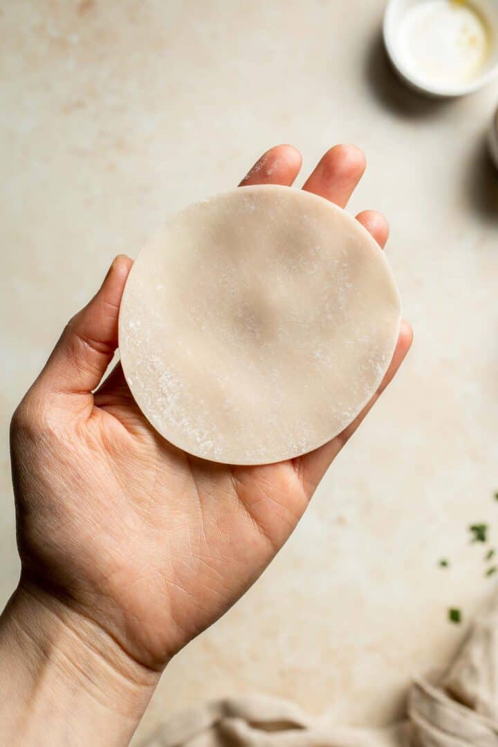 Vegetable Dumplings - Ahead of Thyme