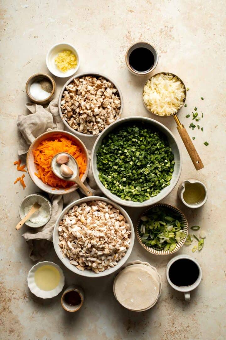 Vegetable Dumplings - Ahead of Thyme